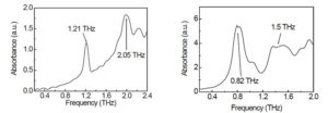 IMRA Femtolite Er-doped Fiber Lasers for Terahertz Applications